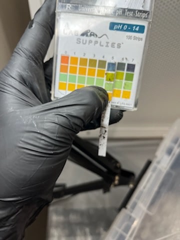 How to Make a Mushroom Casing Layer