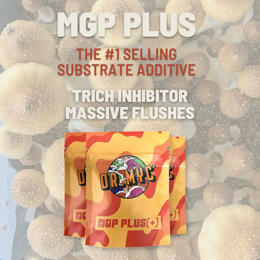 How to Make a Mushroom Casing Layer