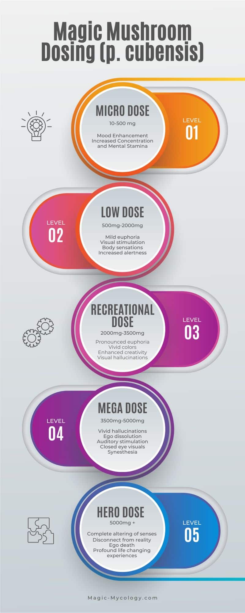 How to Take Shrooms: A Comprehensive Guide | Magic Mycology