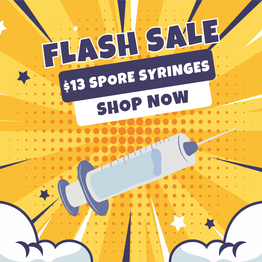 Trinity Magic Mushroom Information