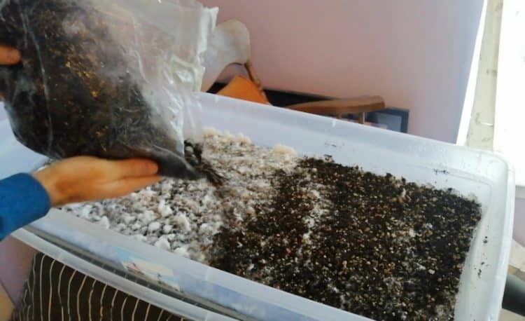 A Simple Pan Cyan Tek