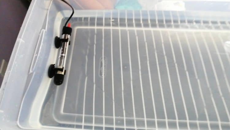 A Simple Pan Cyan Tek